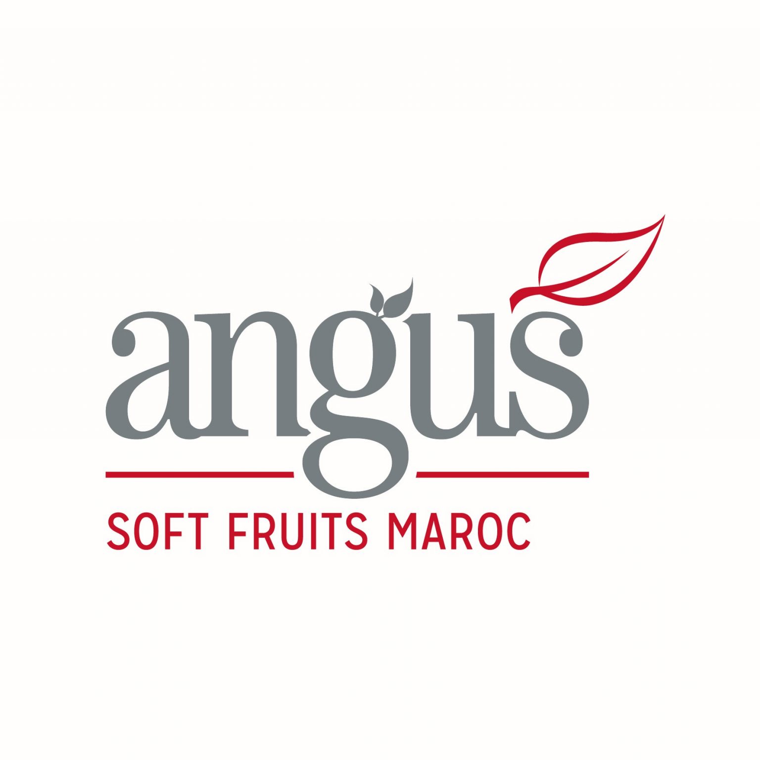 Angus Soft Fruits Maroc - Maroc emploi